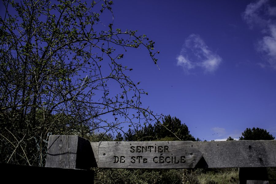 Les Sentiers de Balades - Office de Tourisme Camiers - Sainte Cécile