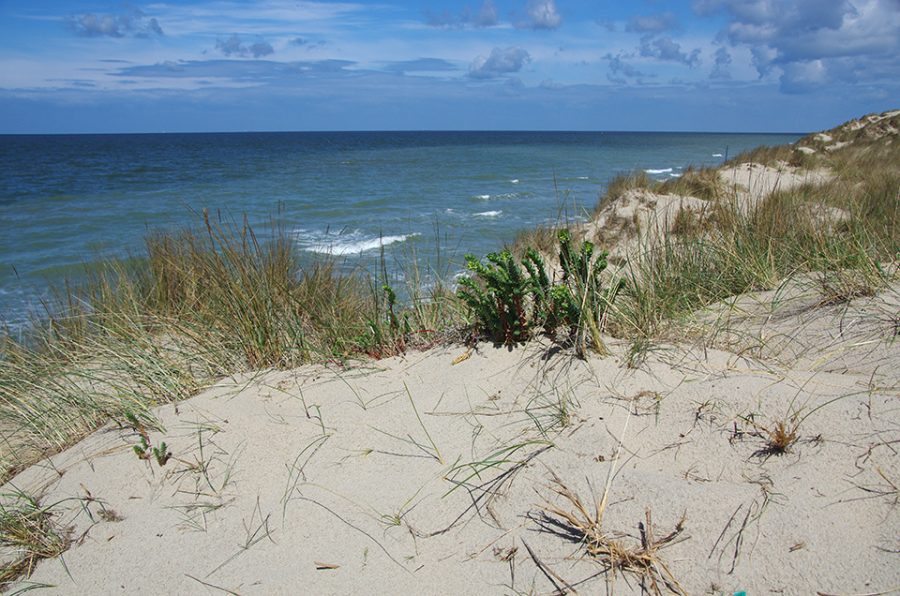 La Plage - Office de Tourisme Camiers - Sainte Cécile
